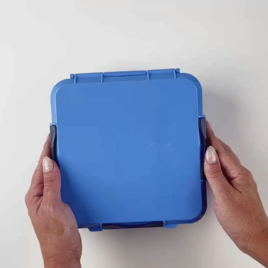 Bright Brands. Little Lunch Box Co Bento Three + - Blueberry