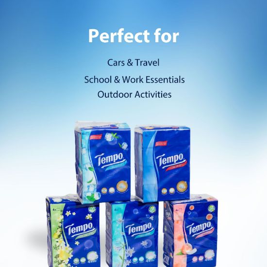 Bright Brands. Tempo Softpack Neutral 4ply Facial Tissue (4packs x ...